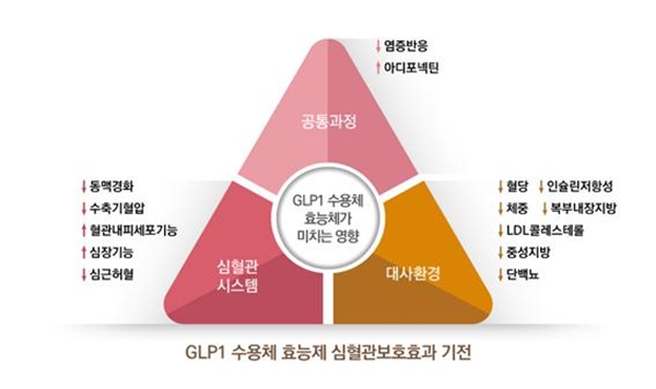 분당서울대, GLP1 수용체 효능제 치료효과 규명