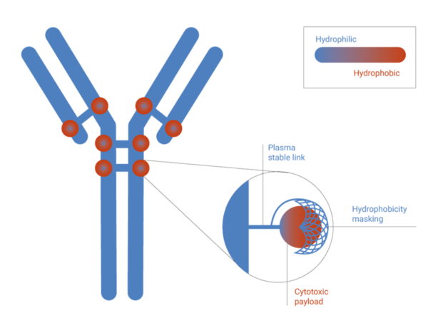 릴리 ADC 항암제 개발사 인수