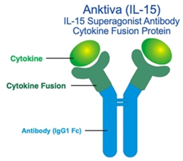 미 방광암 치료제 승인