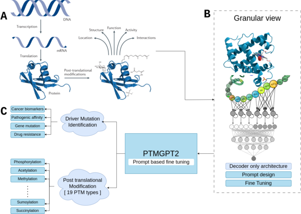 전북대 정길도 교수팀, 단백질 변형 예측 연구 ‘주목’