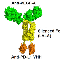 바이오엔텍 中 항암제 개발사 인수