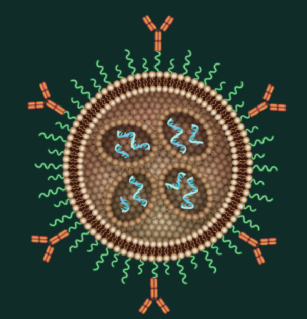 애브비 체내 면역 CAR-T 개발사 인수