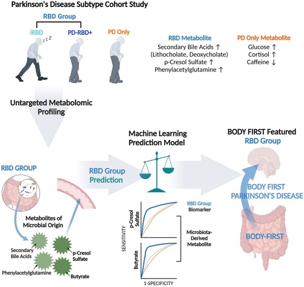 “RBD 동반 파킨슨병, ‘몸에서 시작되는 유형’과 관련있어”